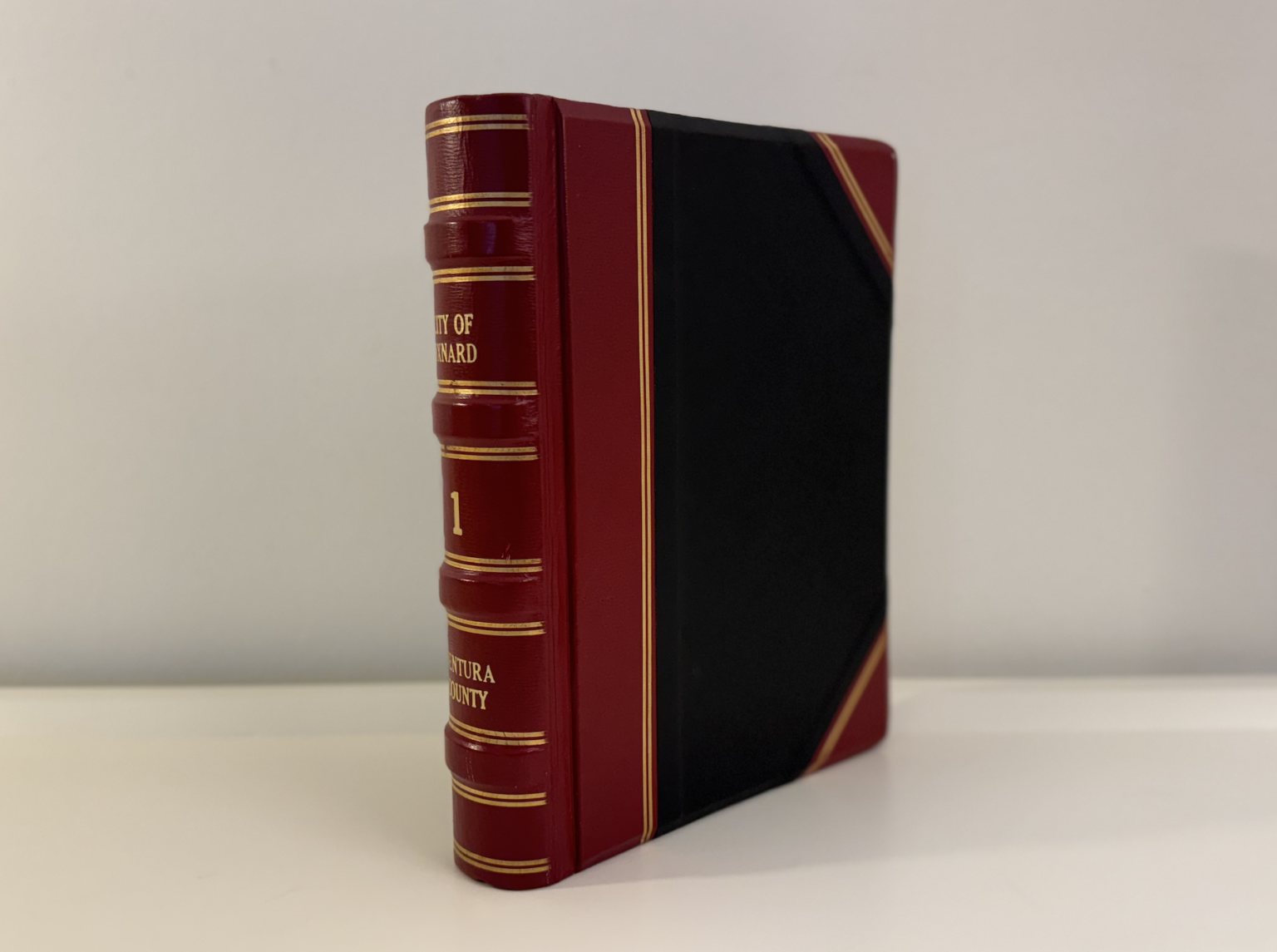 Custom Minute Books With Gold Foil Imprinting And Achival Paper